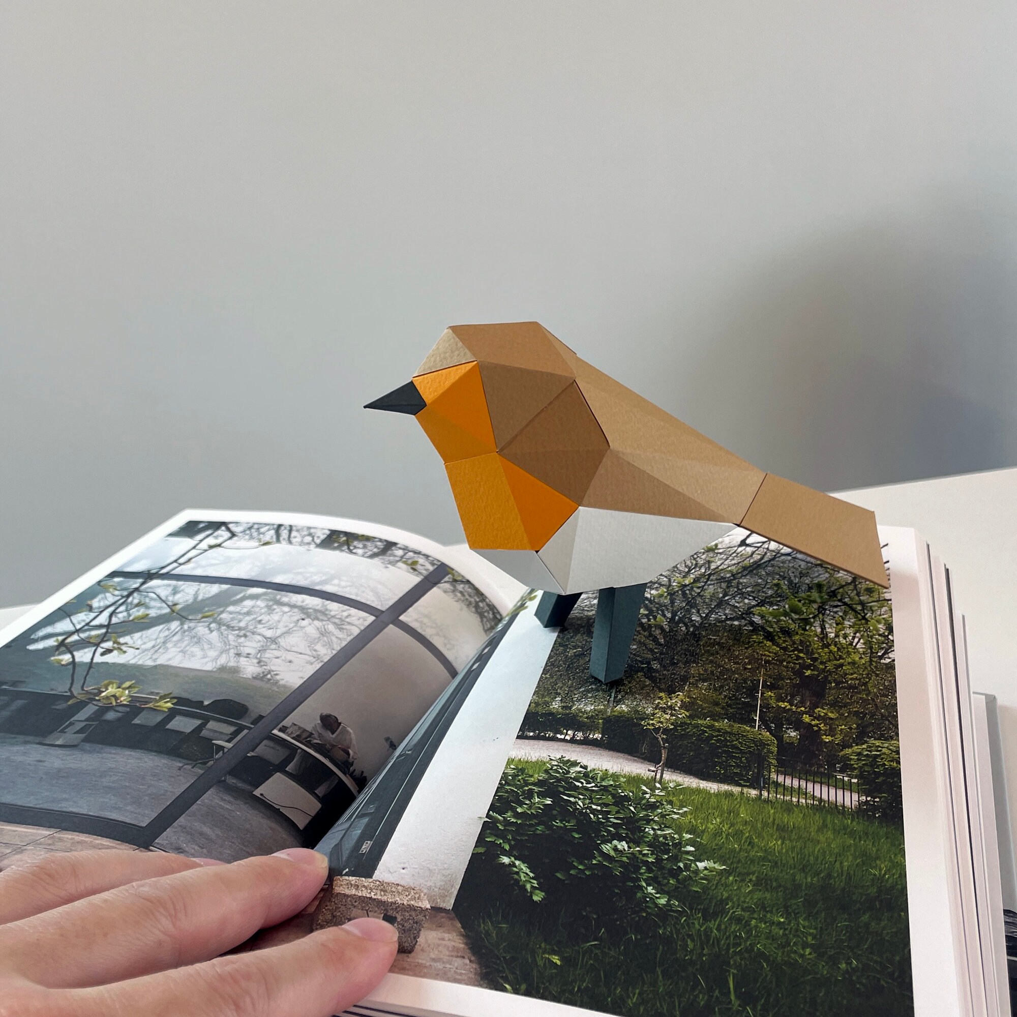 European Robin bird Paper Craft3D Low Polygonal Paper | Etsy
