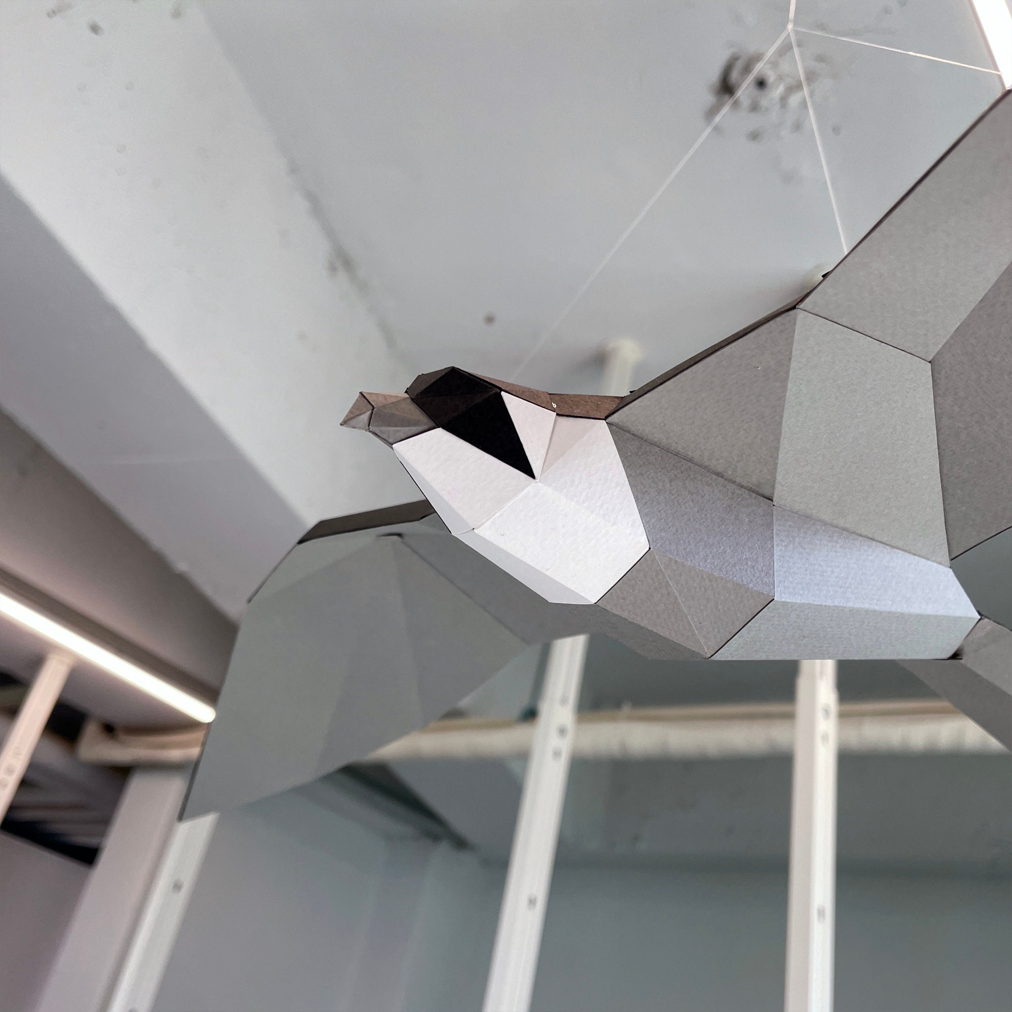 Falconperegrine Bird Paper Craft3d Low Polygonal Paper - Etsy