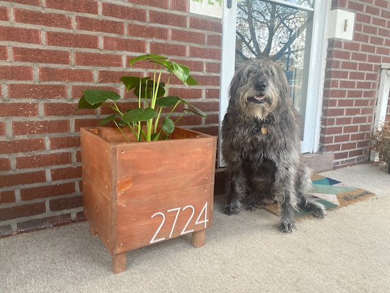 20 Small Planter Box Indoor/Outdoor Planter Box Front | Etsy