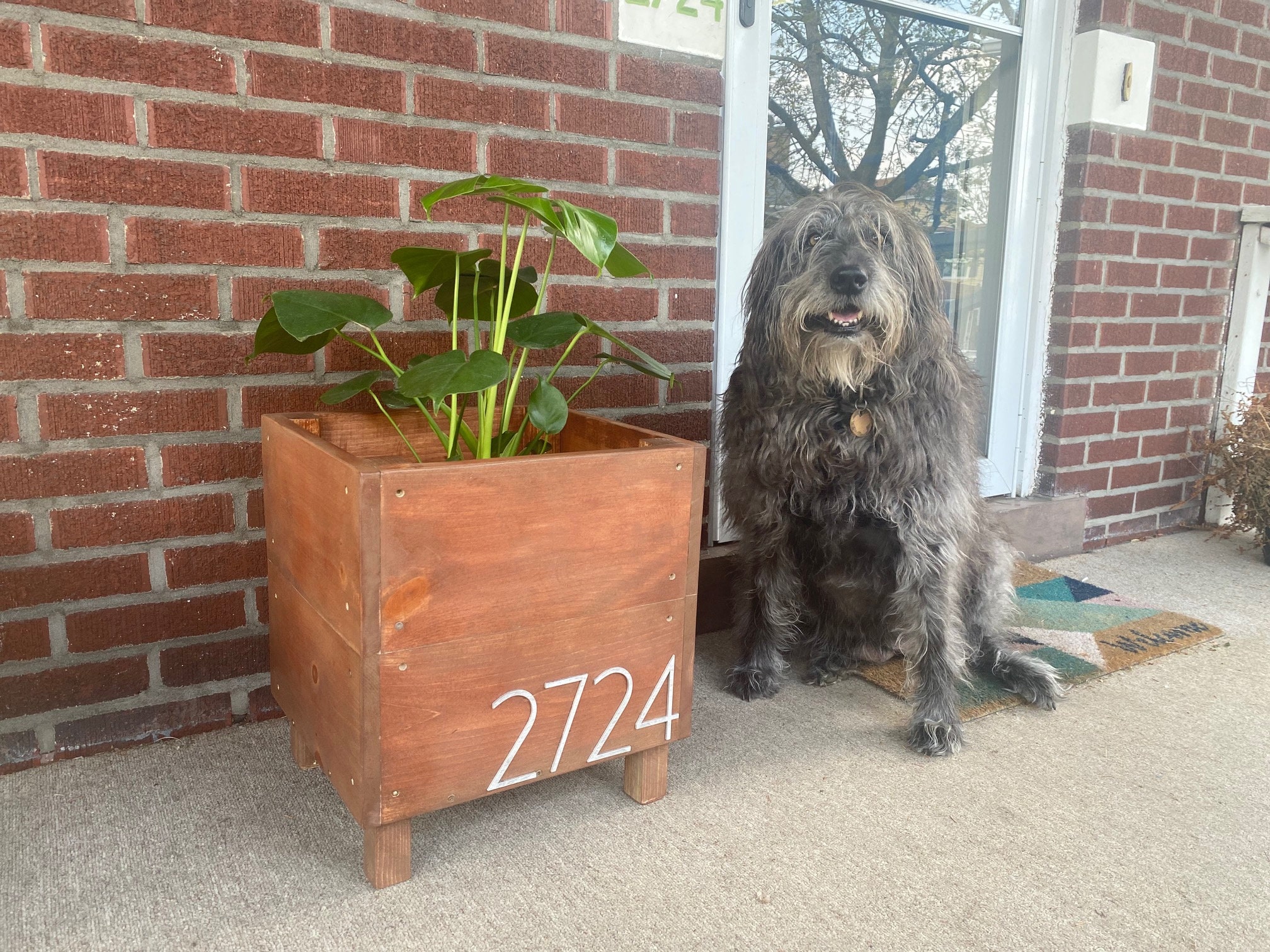 20 Small Planter Box Indoor/outdoor Planter Box Front - Etsy