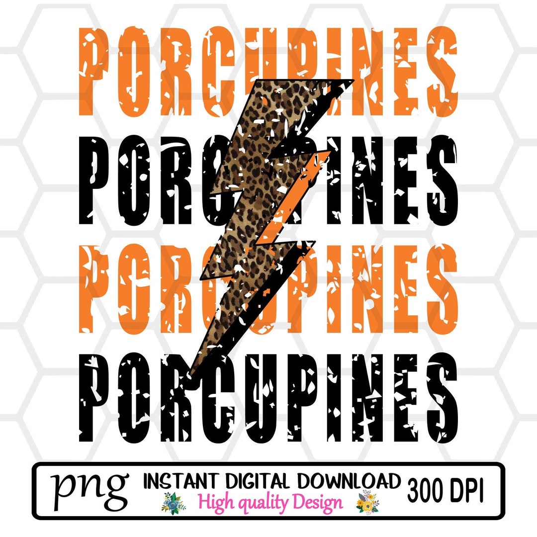 Porcupines // Leopard Lightning Bolt // Black and Orange // School ...