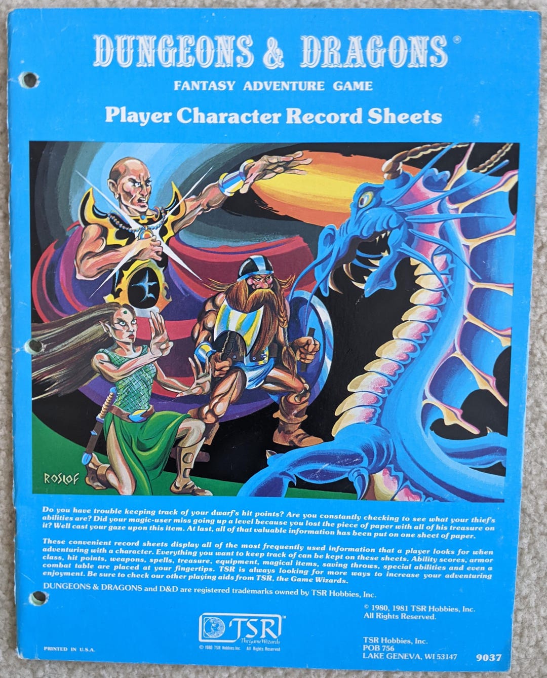 Player Character Record Sheets Dungeons Dragons 9037 TSR 1981 VF Few ...
