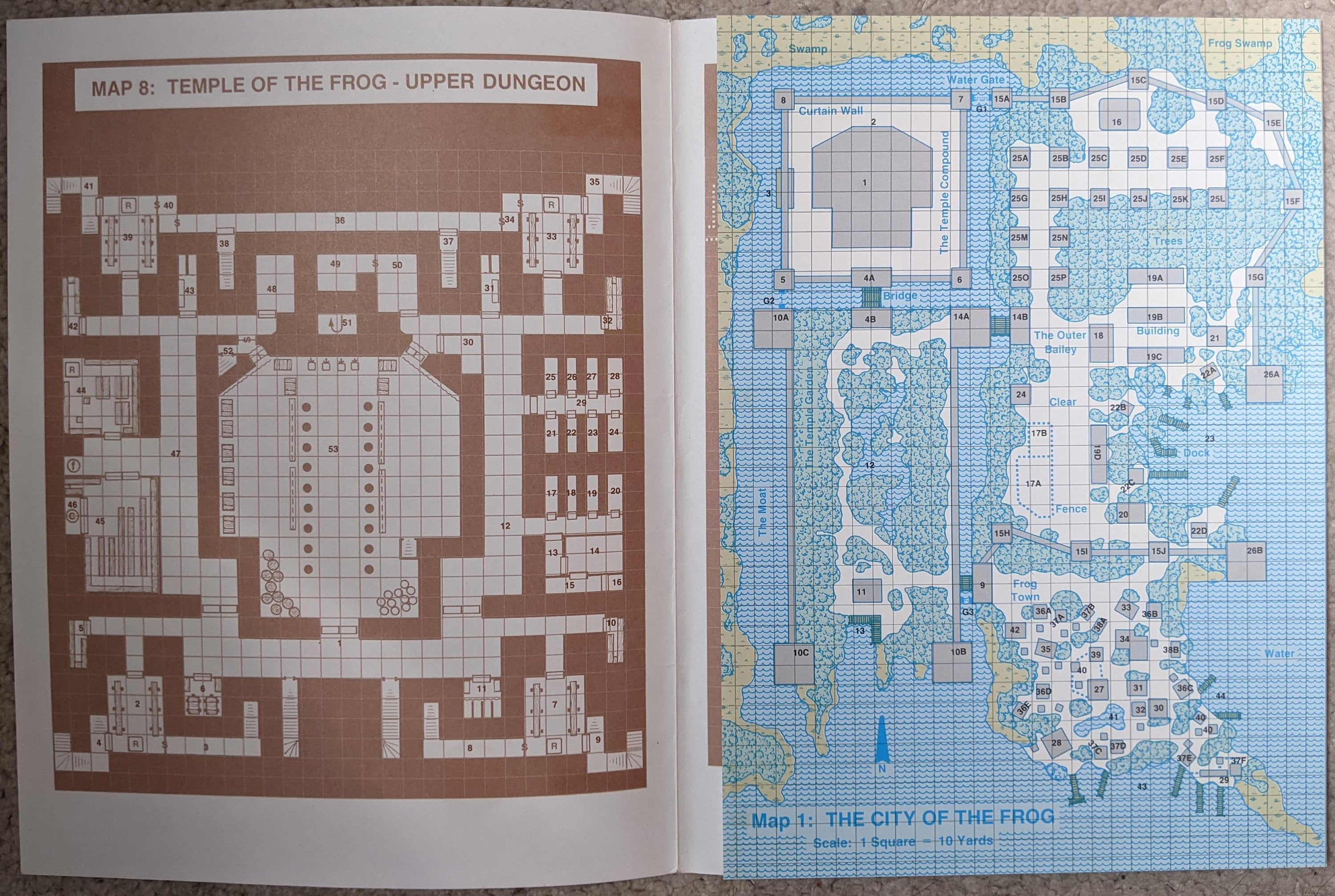 DA2 Temple of the Frog Dungeons Dragons 9175 TSR 1986 VG/VF - Etsy