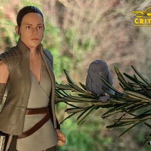 Morai the Convor Bird From Star Wars - Etsy