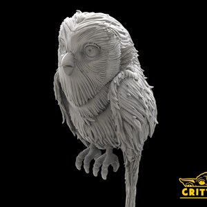 Morai the Convor Bird From Star Wars - Etsy