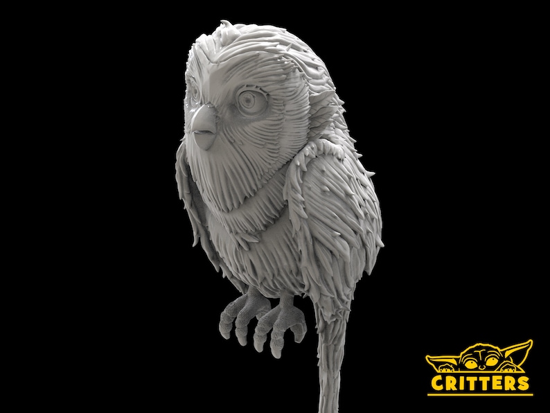 Morai the Convor Bird From Star Wars - Etsy