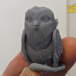 Morai the Convor Bird From Star Wars - Etsy
