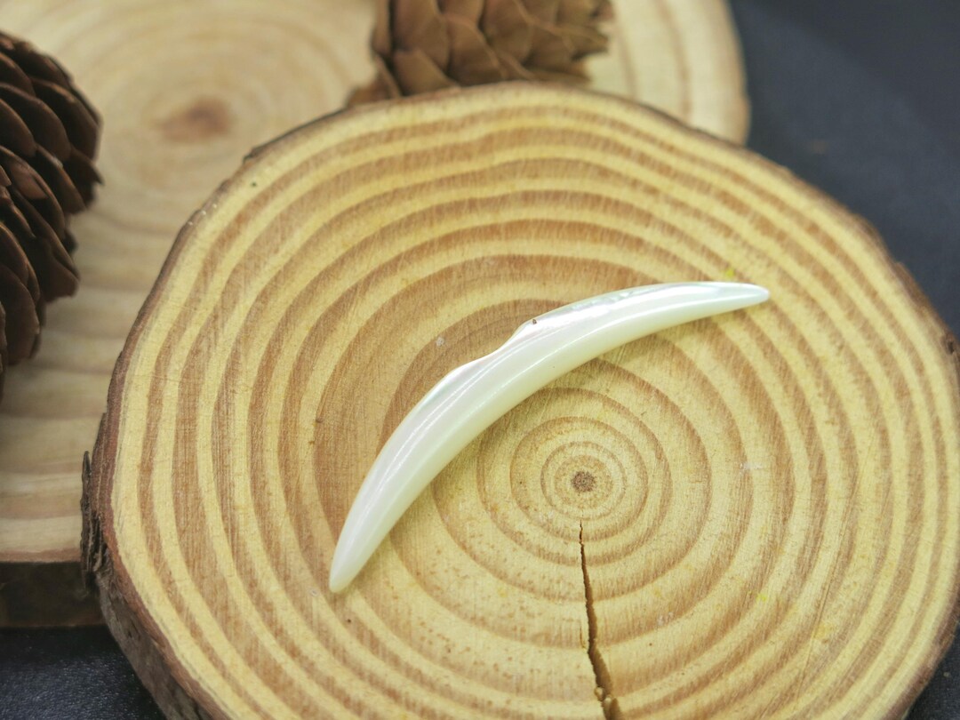 Mother of Pearl Shell Septum Tusk With Notch. Custom Shell Tribal Tusk ...
