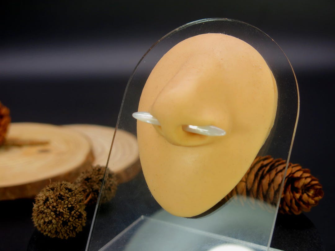 Shell Septum Torpedo Spike, Mother of Pearl Straight Septum Tusks, Long ...