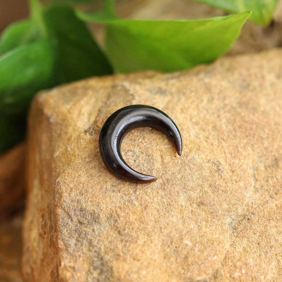 Luxury, Handmade Buffalo Horn Septum Pincher (sharp Ends). Horn Open ...