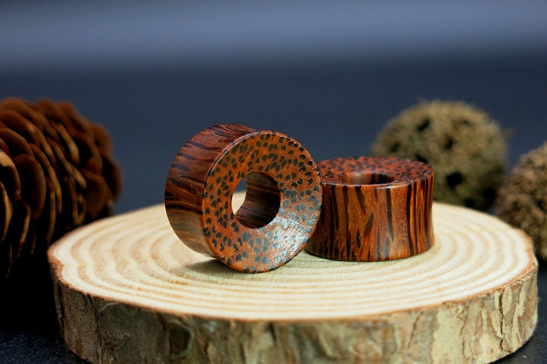 Coconut Palm Thick Wall Ear Tunnels. Coconut Wood Unique Tunnel Ear ...