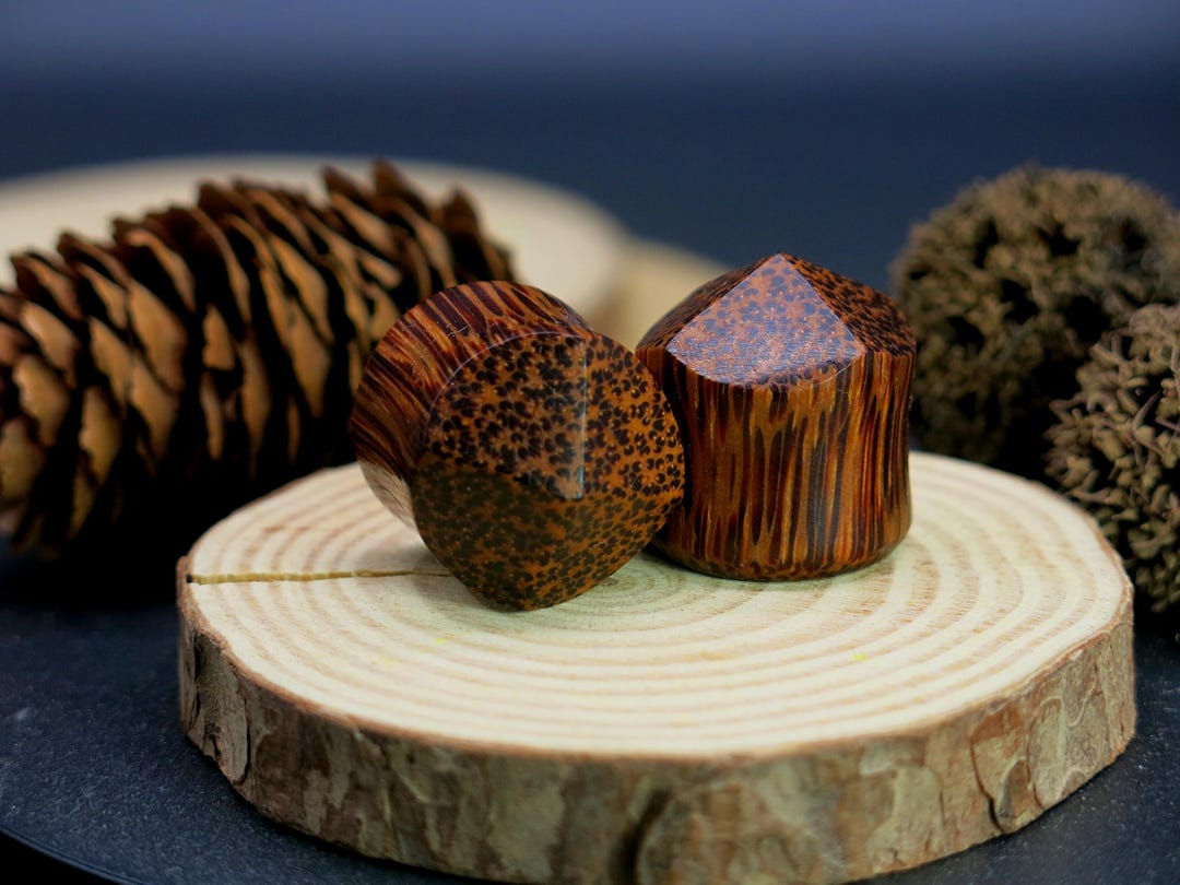 Coconut Palm Wood Pyramid Ear Plugs: Geometric Style - Etsy