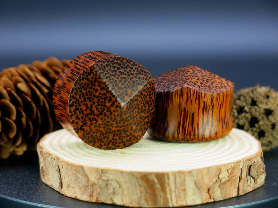 Custom, Coconut Palm Wood Pyramid Plugs I Wood Ear Plugs I Shaped Plugs ...