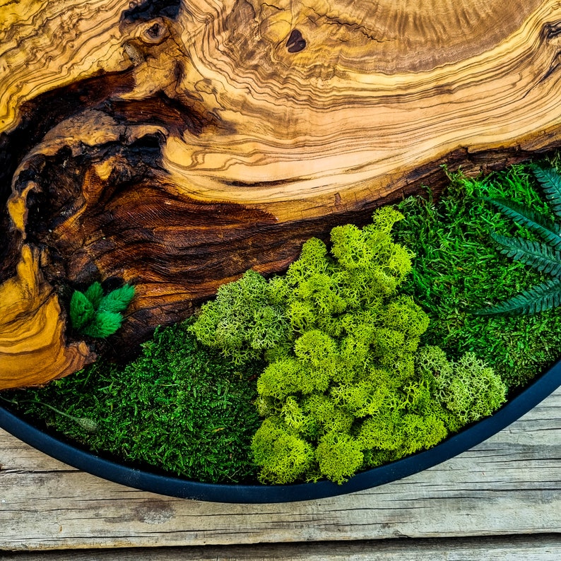 Handmade Olive Wood & Preserved Moss Wall Art – Round Green Decor - Etsy