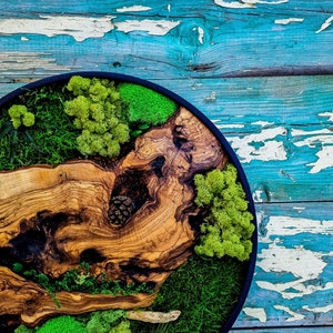 Round Wood Design With Metal Frame - Botanical Wall Art for Living Room ...