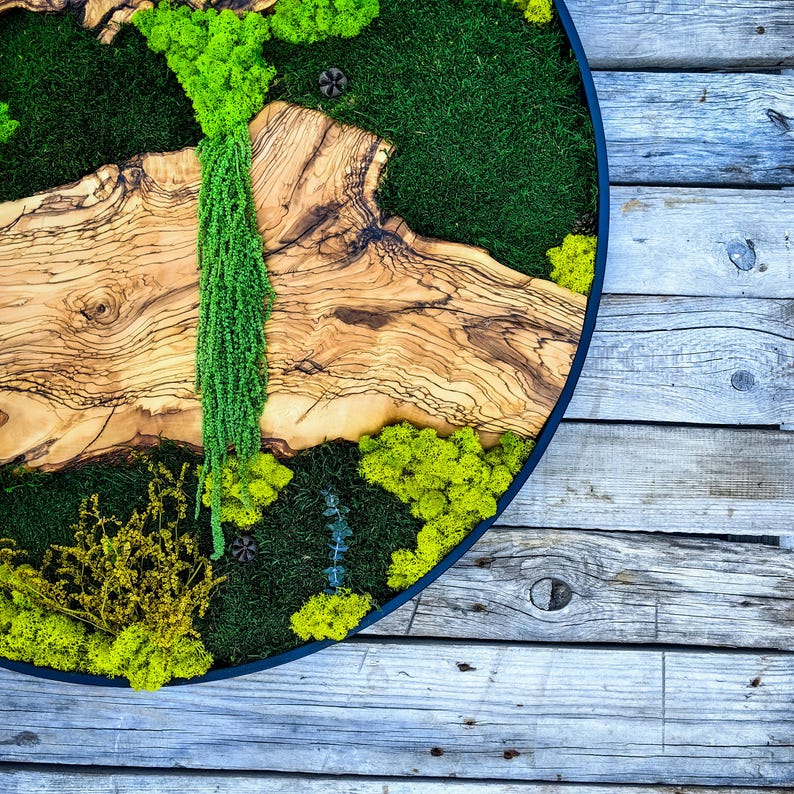 Custom Moss and Olive Wood Wall Art: Preserved Moss Decor - Etsy
