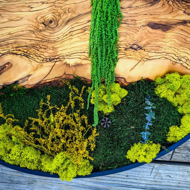 Custom Moss and Olive Wood Wall Art: Preserved Moss Decor - Etsy