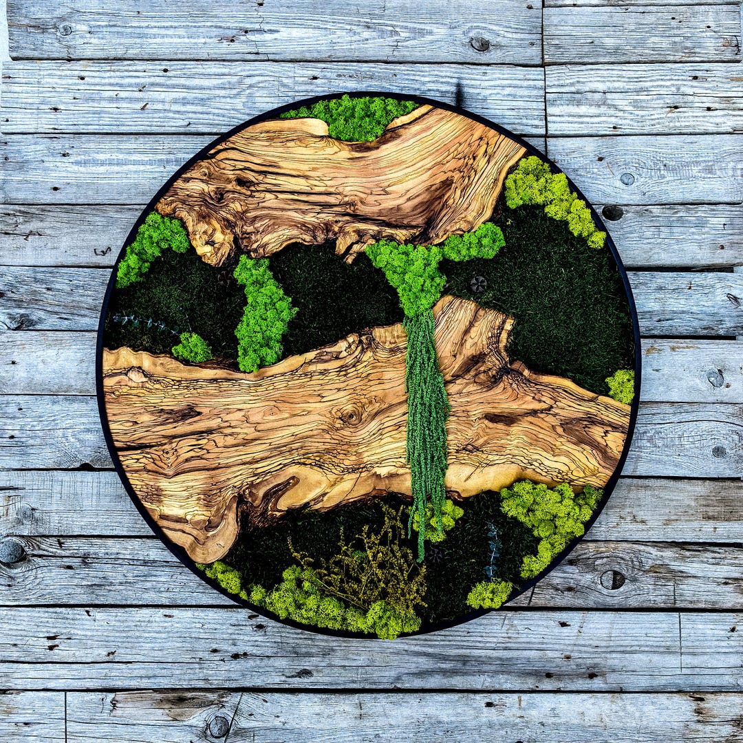 Custom Moss and Olive Wood Wall Art: Preserved Moss Decor - Etsy