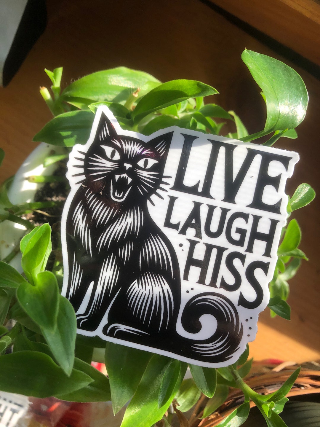 Live Laugh Hiss Funny Black Cat Bitchy Anarchist Waterproof - Etsy