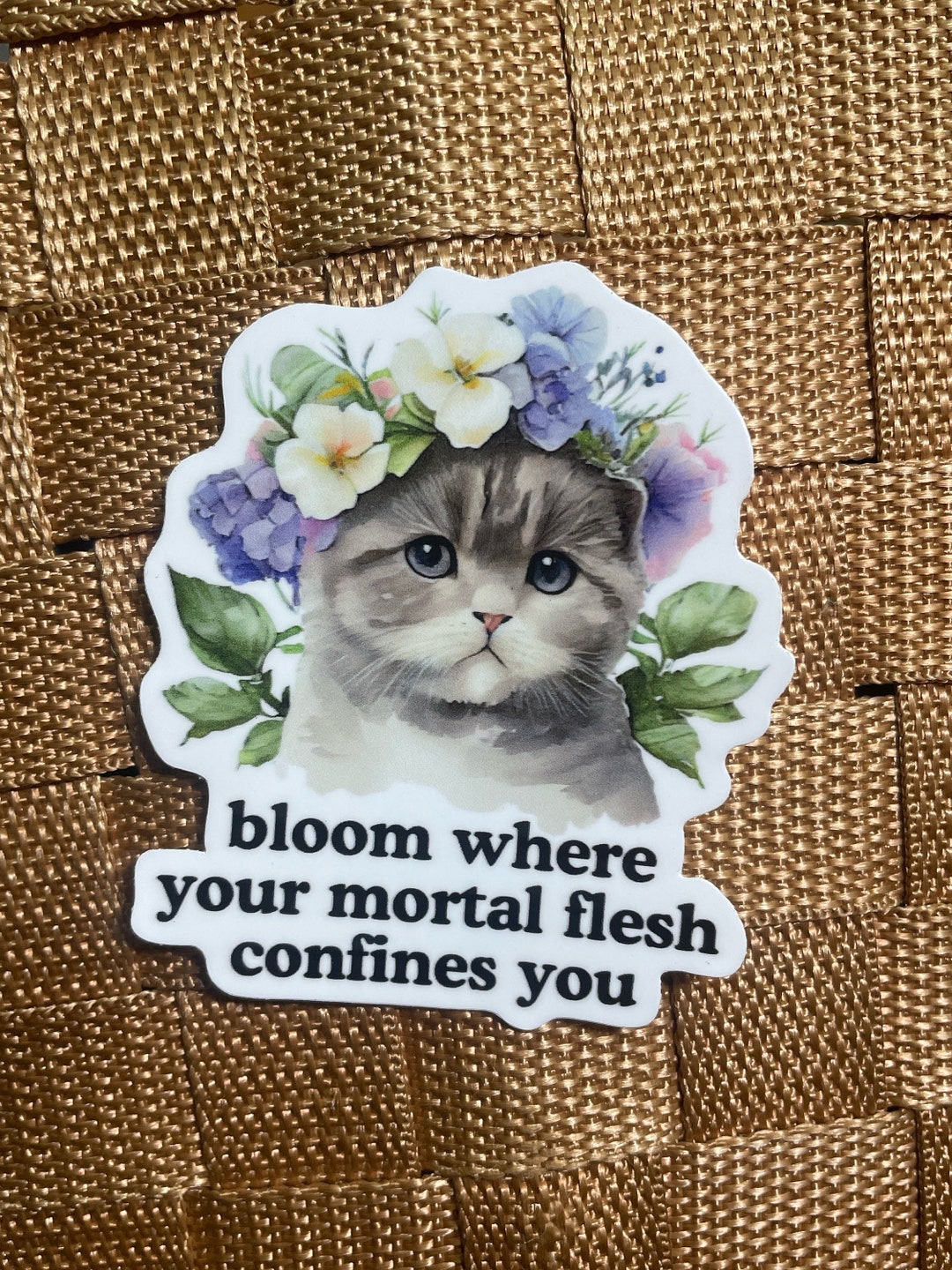 Snarky Kitten Sticker Funny Cat Decal Flowers Bloom Where You Are ...