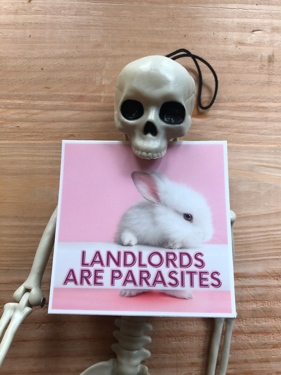 Housing Sticker Socialist Bunny Decal Rabbit Leftist Progressive ...