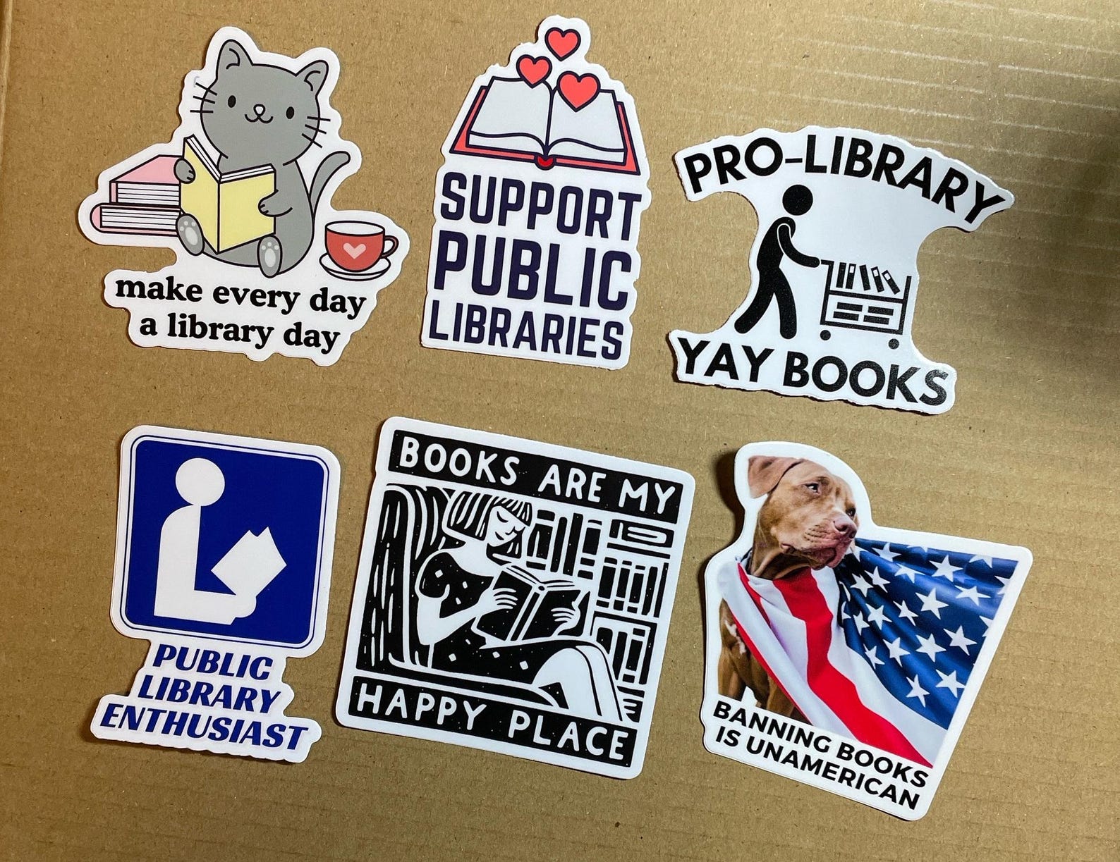 Public Library Stickers 6 Pack Nerdy Cat Read Banned Books Politicsl ...