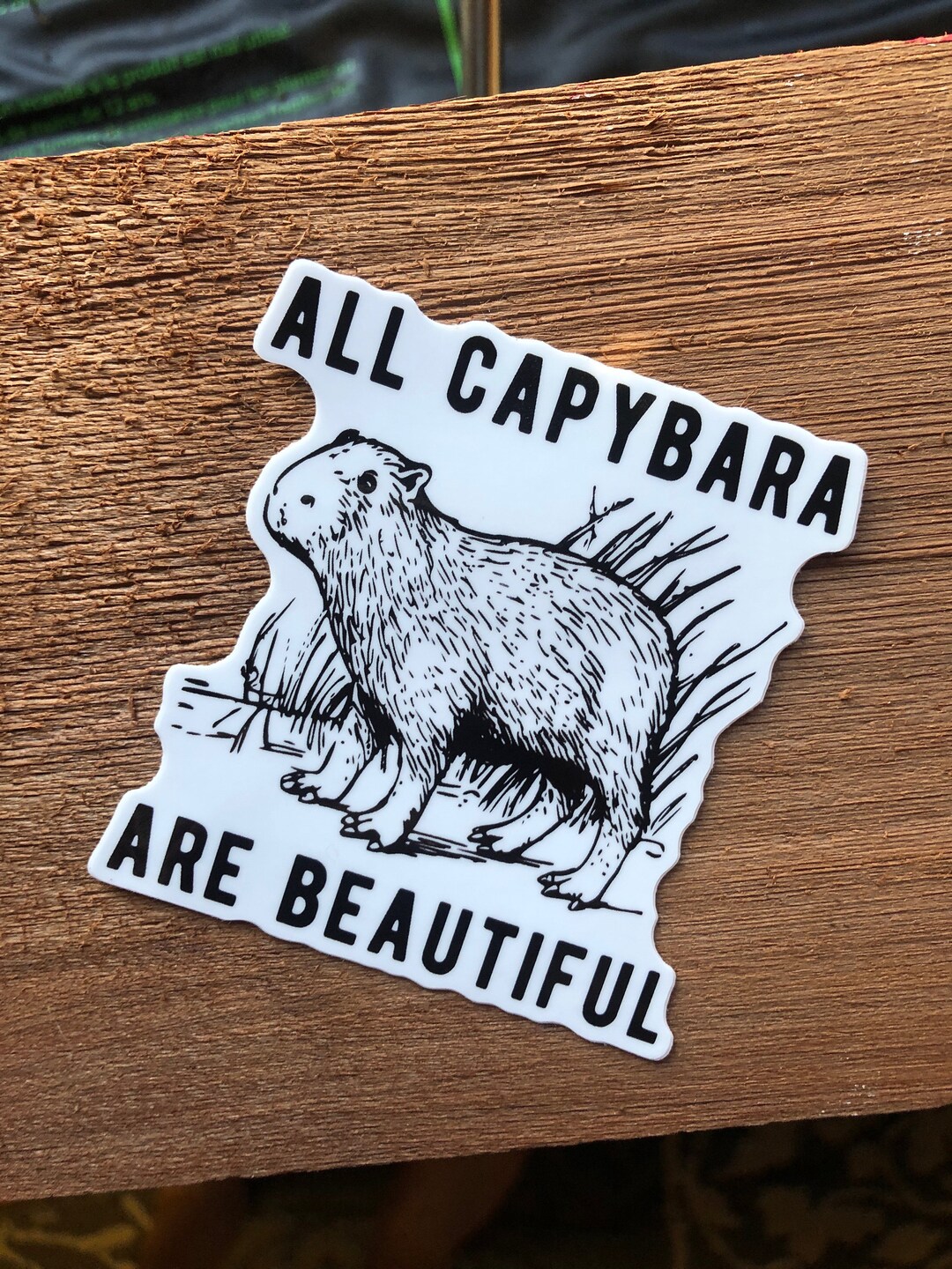 Capybara Leftist Sticker Prison Abolition Cute Anarchist Punk Funny ...
