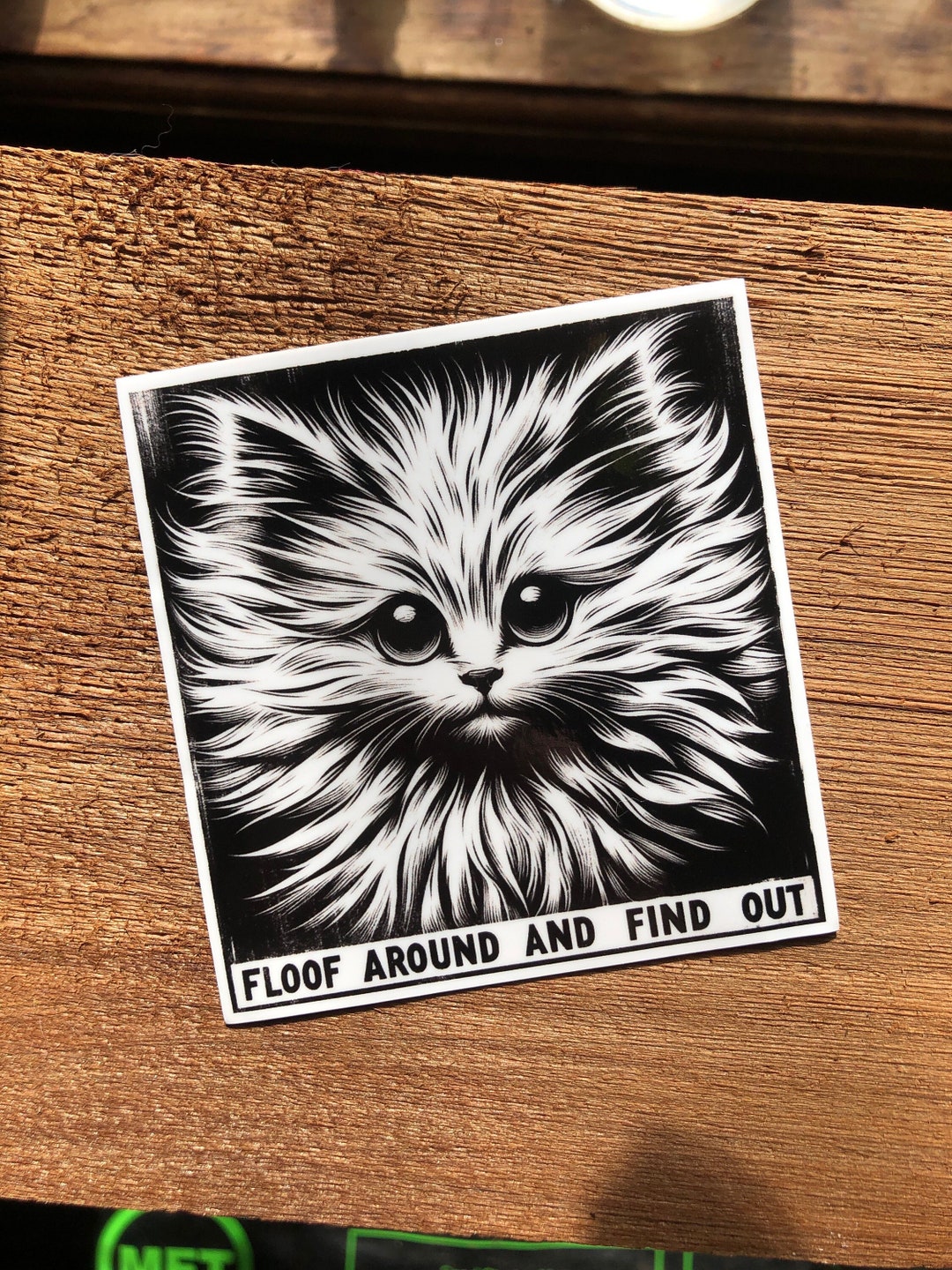 Floof Around and Find Out Cute Funny Fluffy Kitten Leftist Anarchist ...