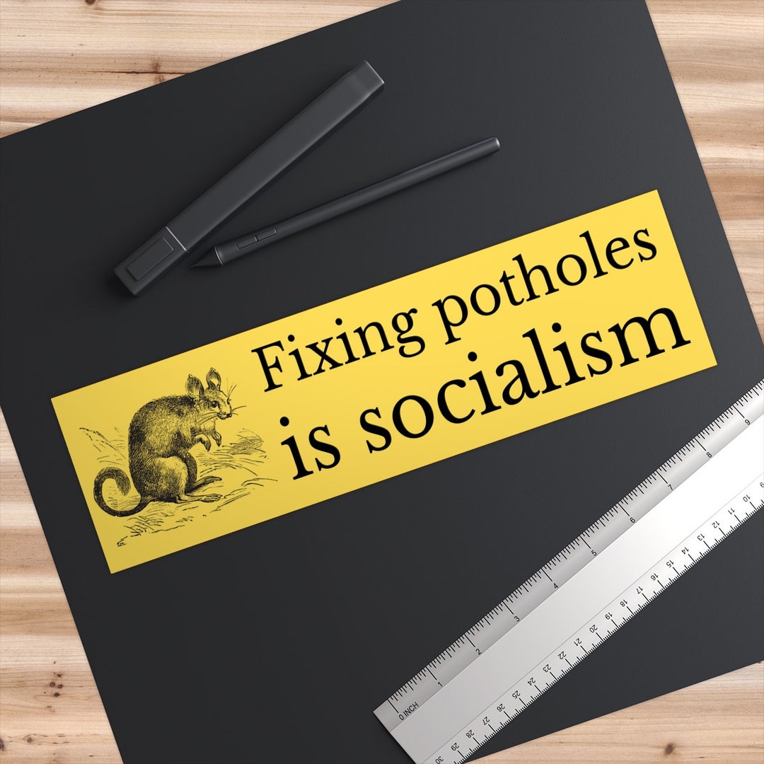 Funny Socialism Silly Squirrel Driver Vinyl Cute Decal Progressive Bumper Sticker - Etsy