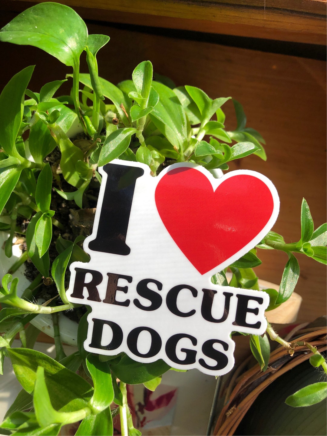 I Love Rescue Dogs Shelter Animals Volunteer Adopt Don’t Shop Foster ...