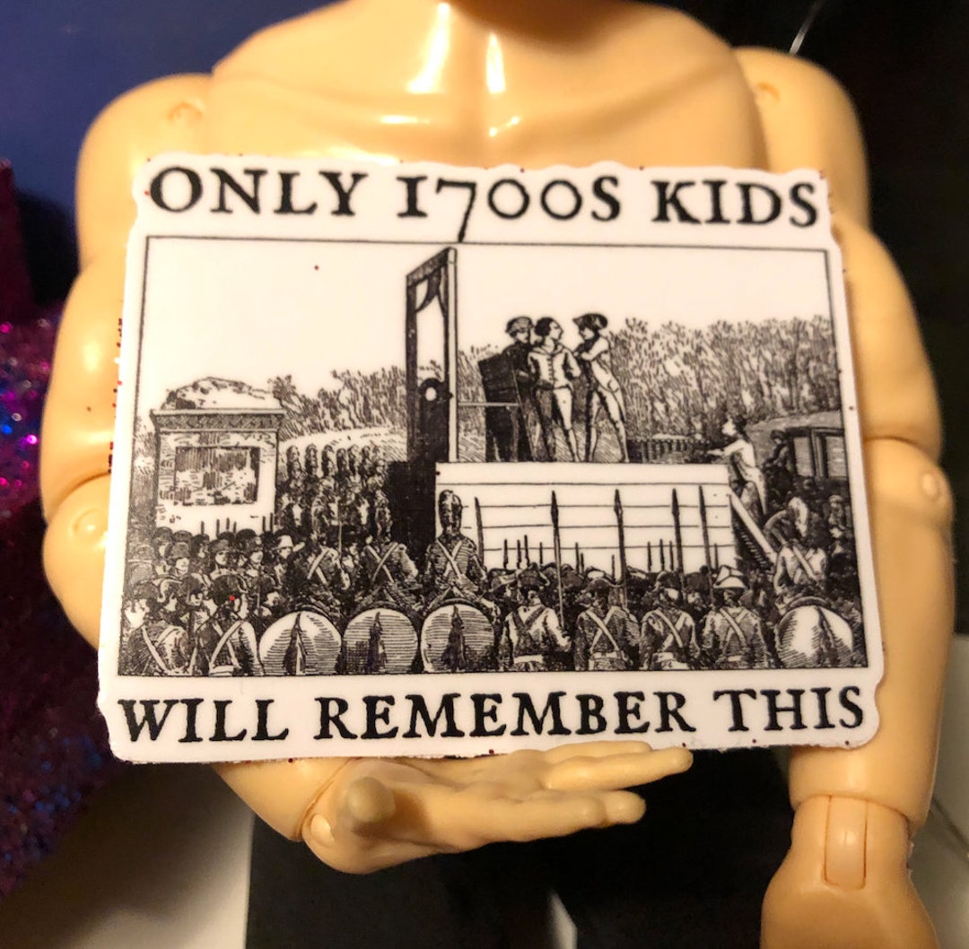 Guillotine Tax the Rich French History Spicy Class War Meme Vinyl ...