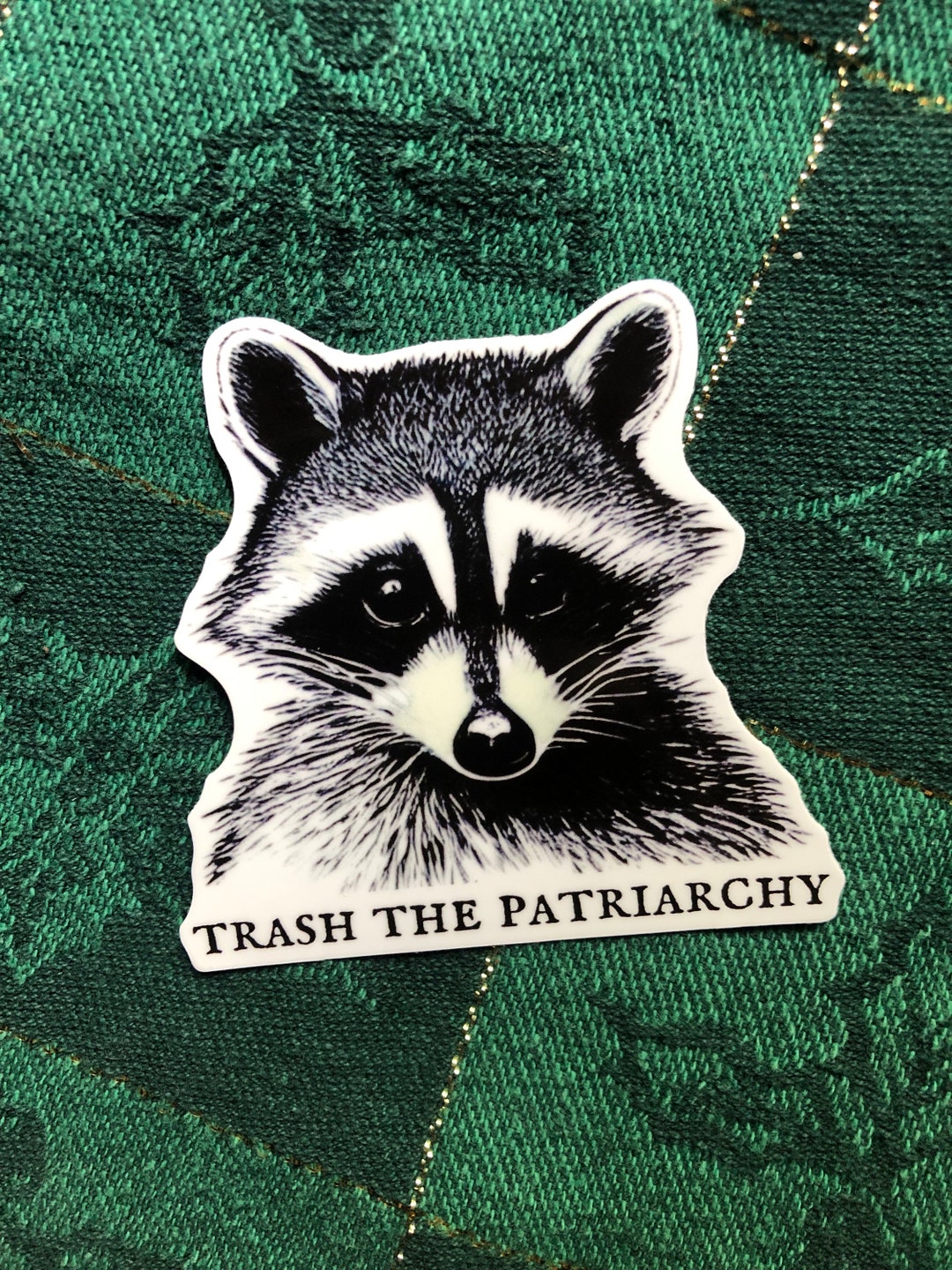 Trash the Patriarchy Feminist Raccoon Street Cat Punk Anarchist Leftist ...