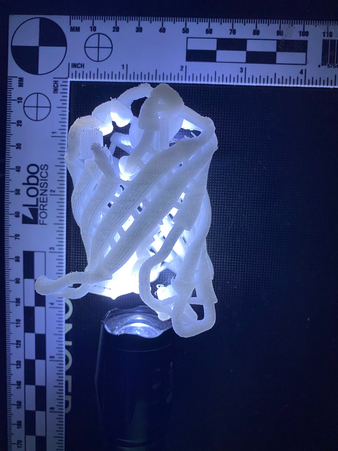 3D Printed GREEN FLUORESCENT PROTEIN Glow in the Dark Model - Etsy