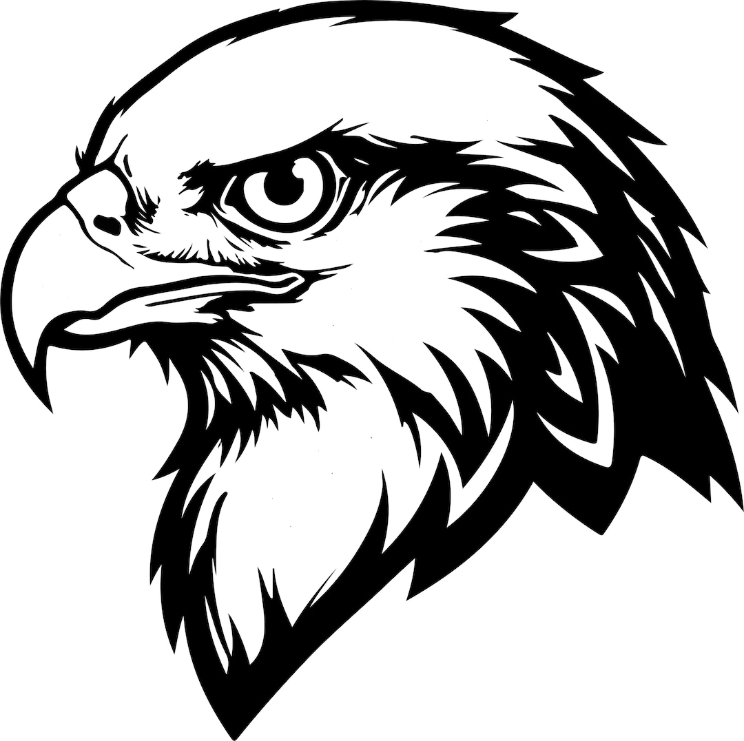 Eagle Hawk Head Svg, Vector Graphics Design, Bird of Prey, Wild Life, T ...