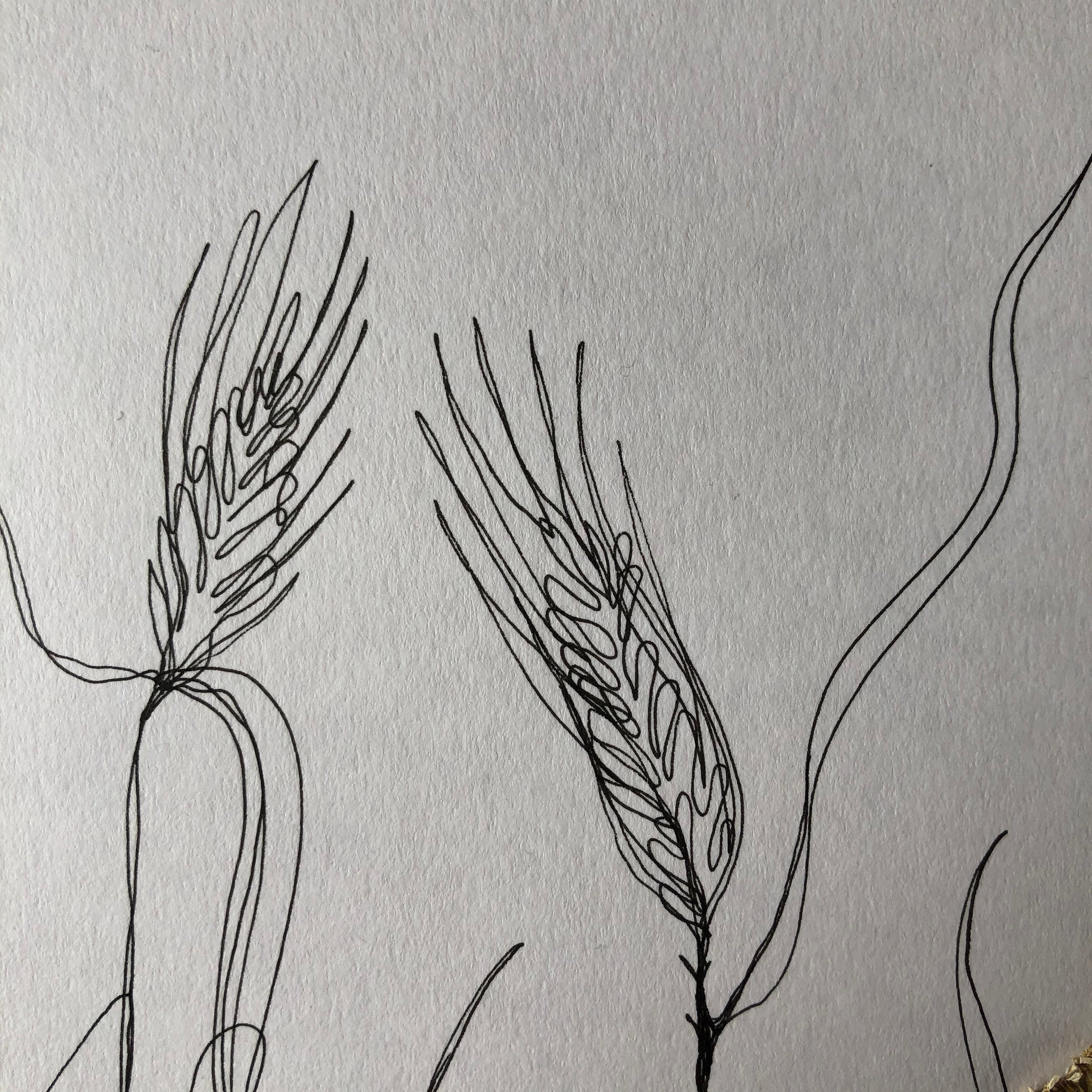 Original Wheat Nature Line Drawing One Line Art Home Decor - Etsy Australia