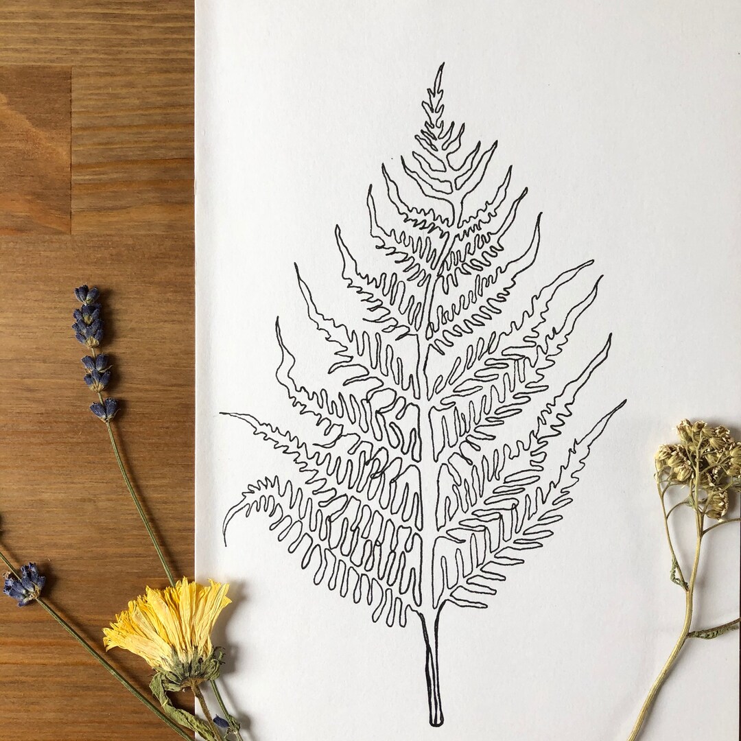 Original Fern Nature Line Drawing One Line Art Home Decor A5 Minimalist ...