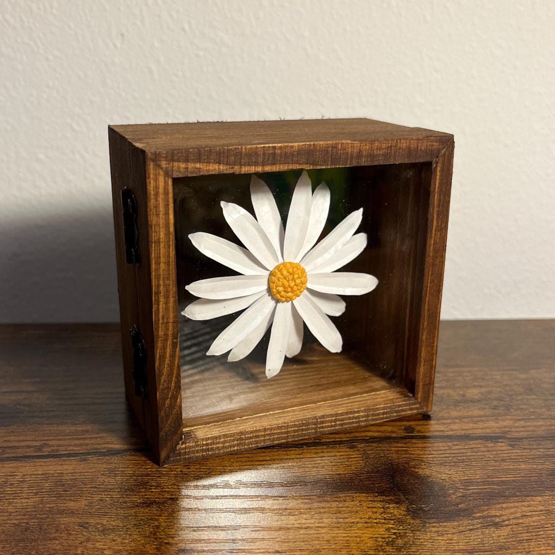 Paper Daisy Shadow Box Sculpture - Etsy