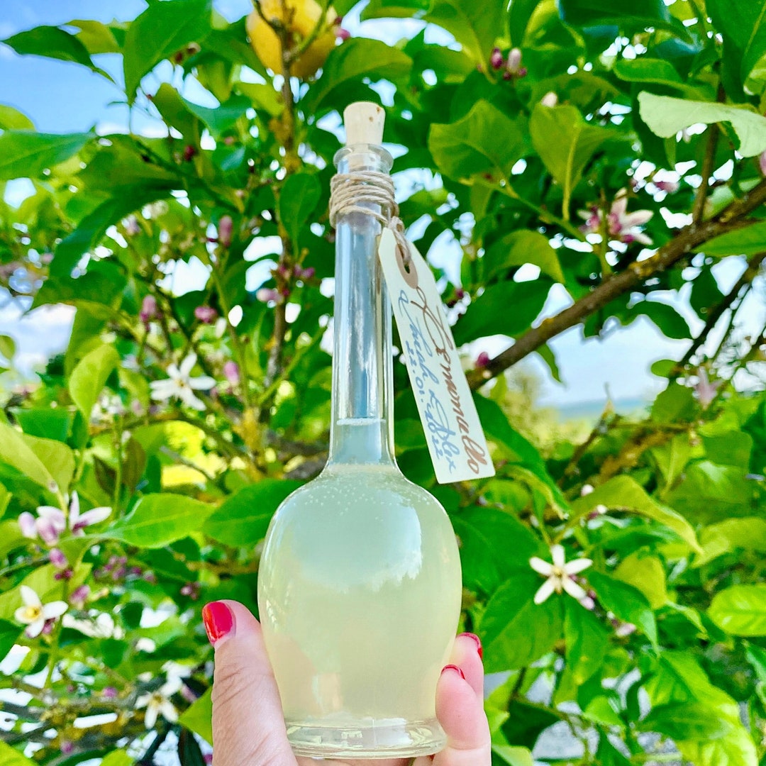 100ml Silhouette Potion Bottle With Tapered Natural Cork | Elegant ...