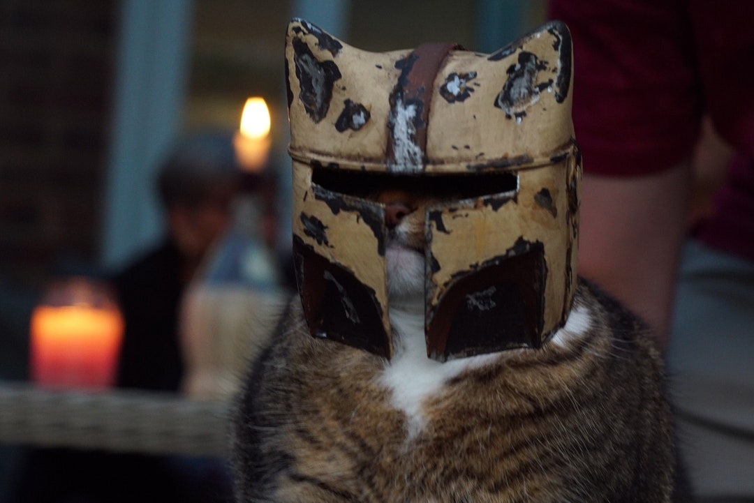 Mandokitty / Mandalorian Cat Helmet / Stl Model - Etsy
