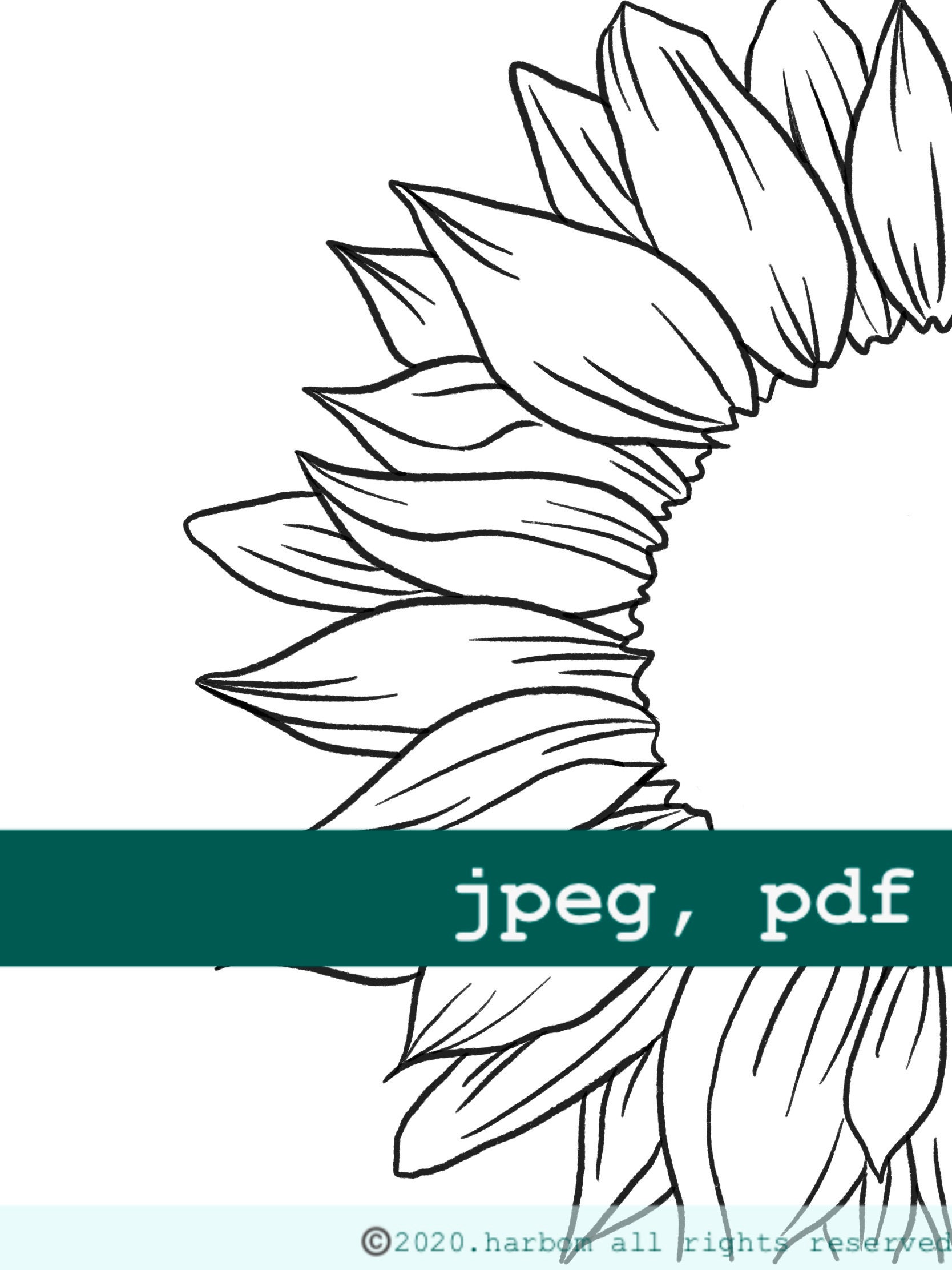 Printable Art 4 Sunflower Coloring Page DIGITAL DOWNLOAD - Etsy