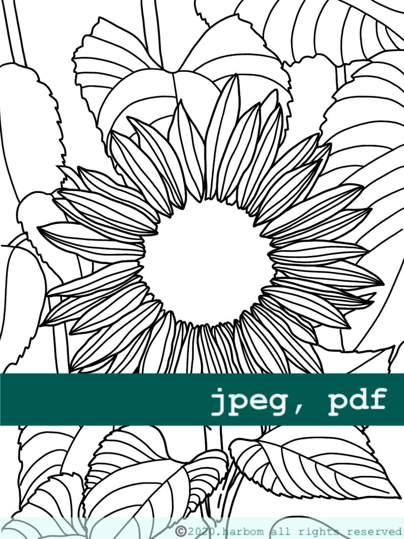 Printable Art 4 Sunflower Coloring Page DIGITAL DOWNLOAD - Etsy