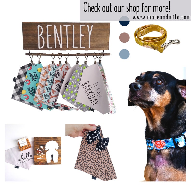 Custom Baby and Dog Matching Outfit Set Dog and Human | Etsy