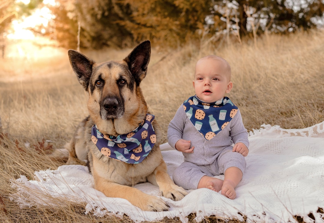 Cookies Matching Baby Bib and Dog Bandana, Dog Sibling Set, Matching ...
