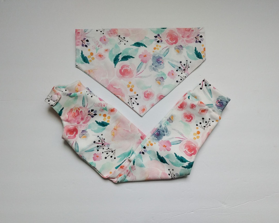 Spring Baby and Dog Matching Outfit Set, Custom Dog & Human Matching ...