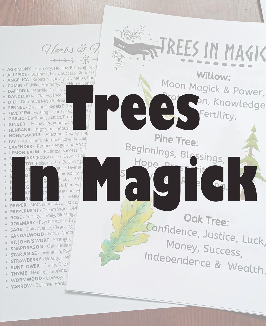 Trees in Magick PDF - Instant Download! - Etsy