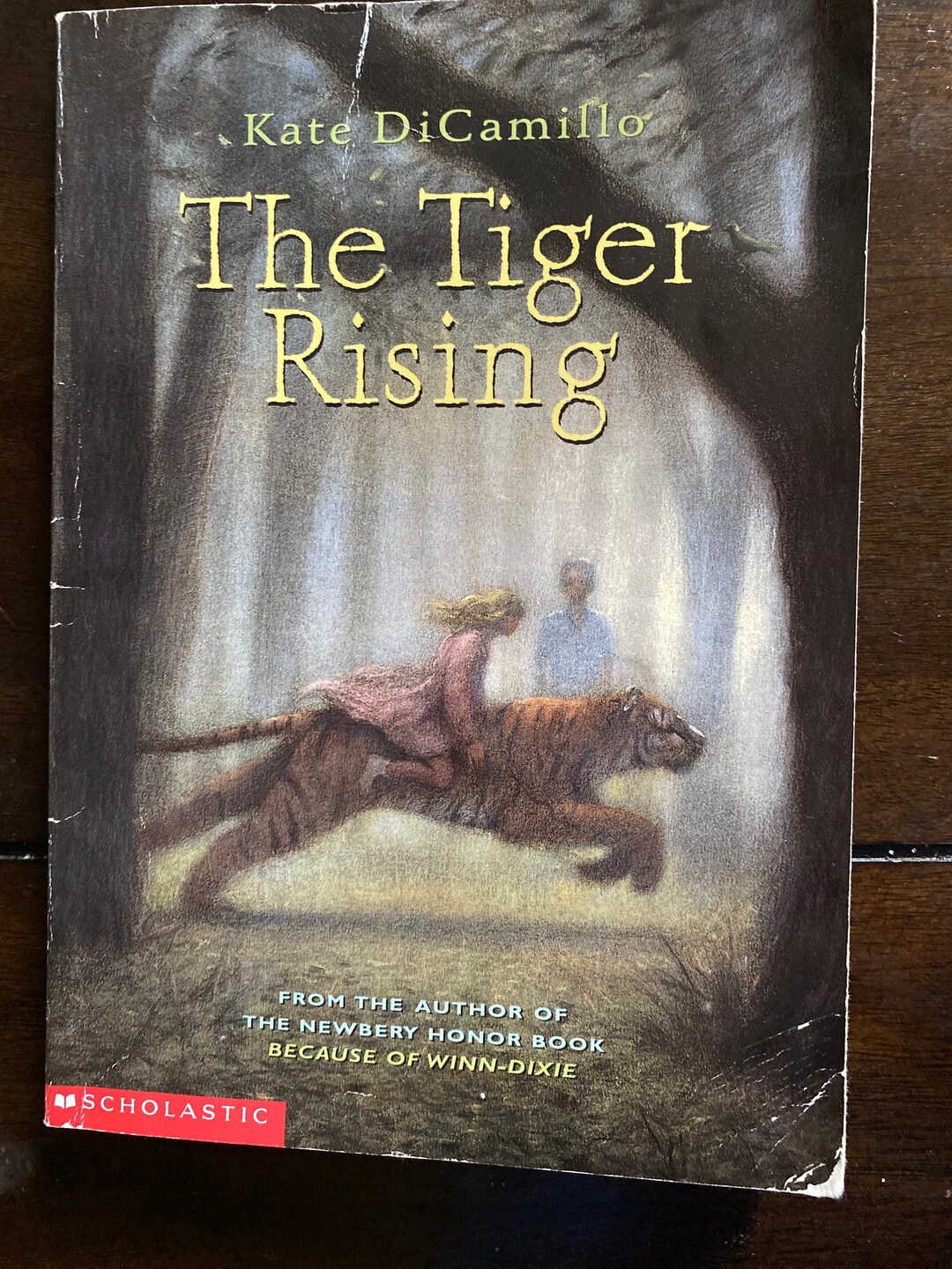 The Tiger Rising by Kate Dicamillo - Etsy