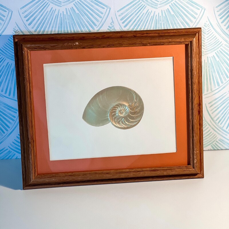 Framed Shell Art - Etsy