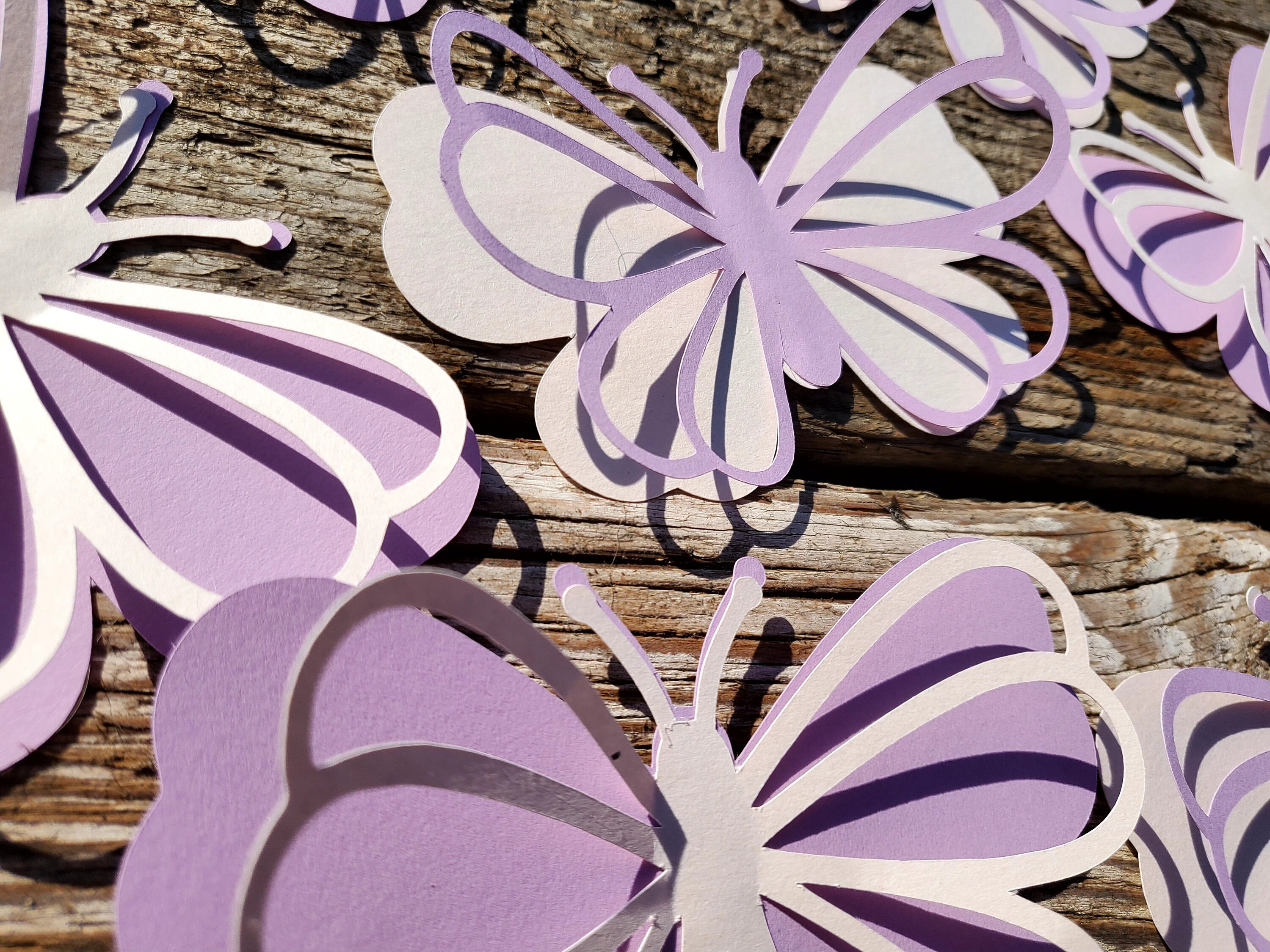 3D Paper Butterfly, Butterfly Yard, Outdoor Butterfly , Butterfly for ...