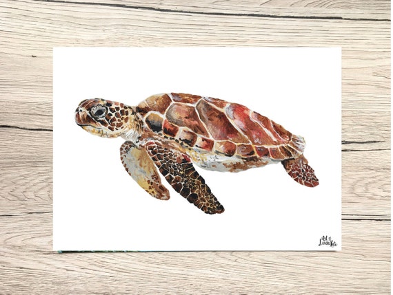 Green Sea Turtle A4 Artwork Print - Etsy