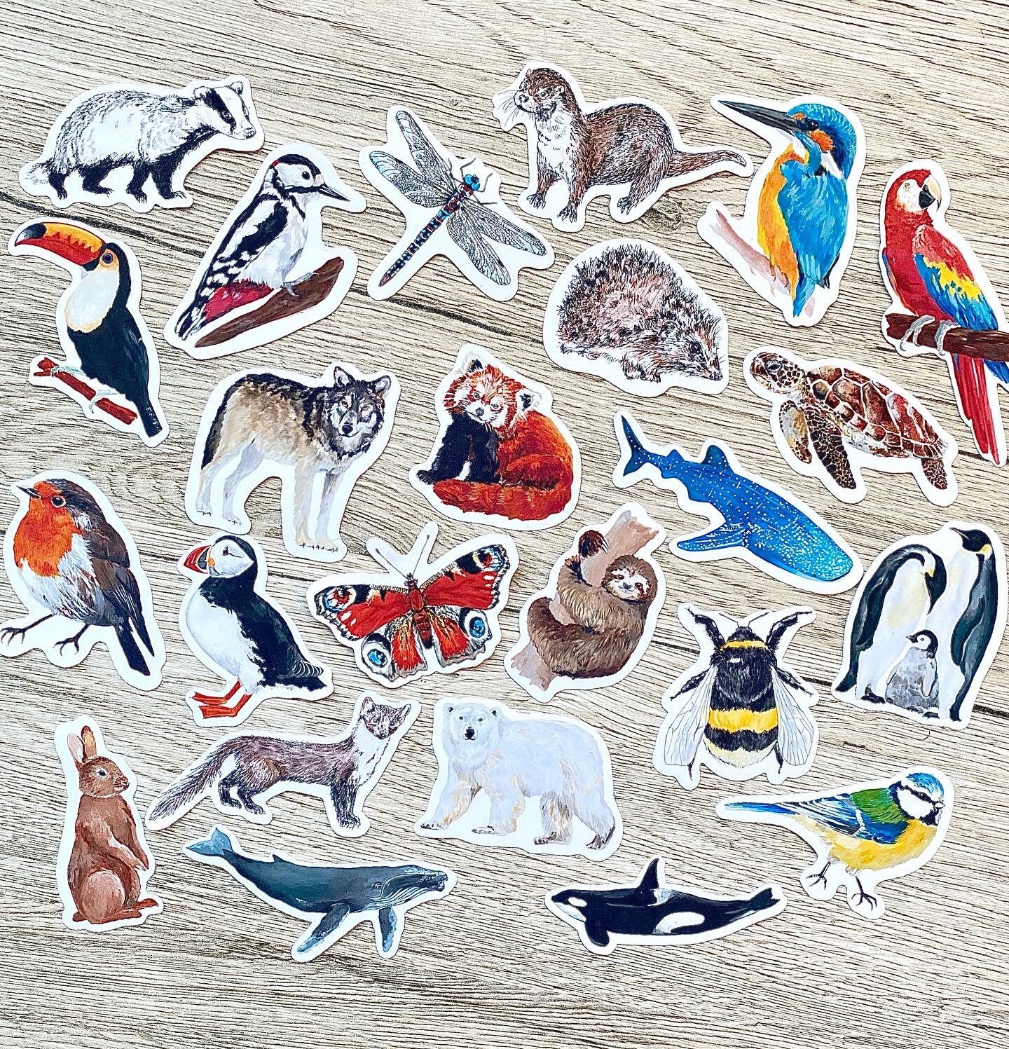 Animal Sticker Variety Pack 10 or 20 Sticker Packs Handmade - Etsy